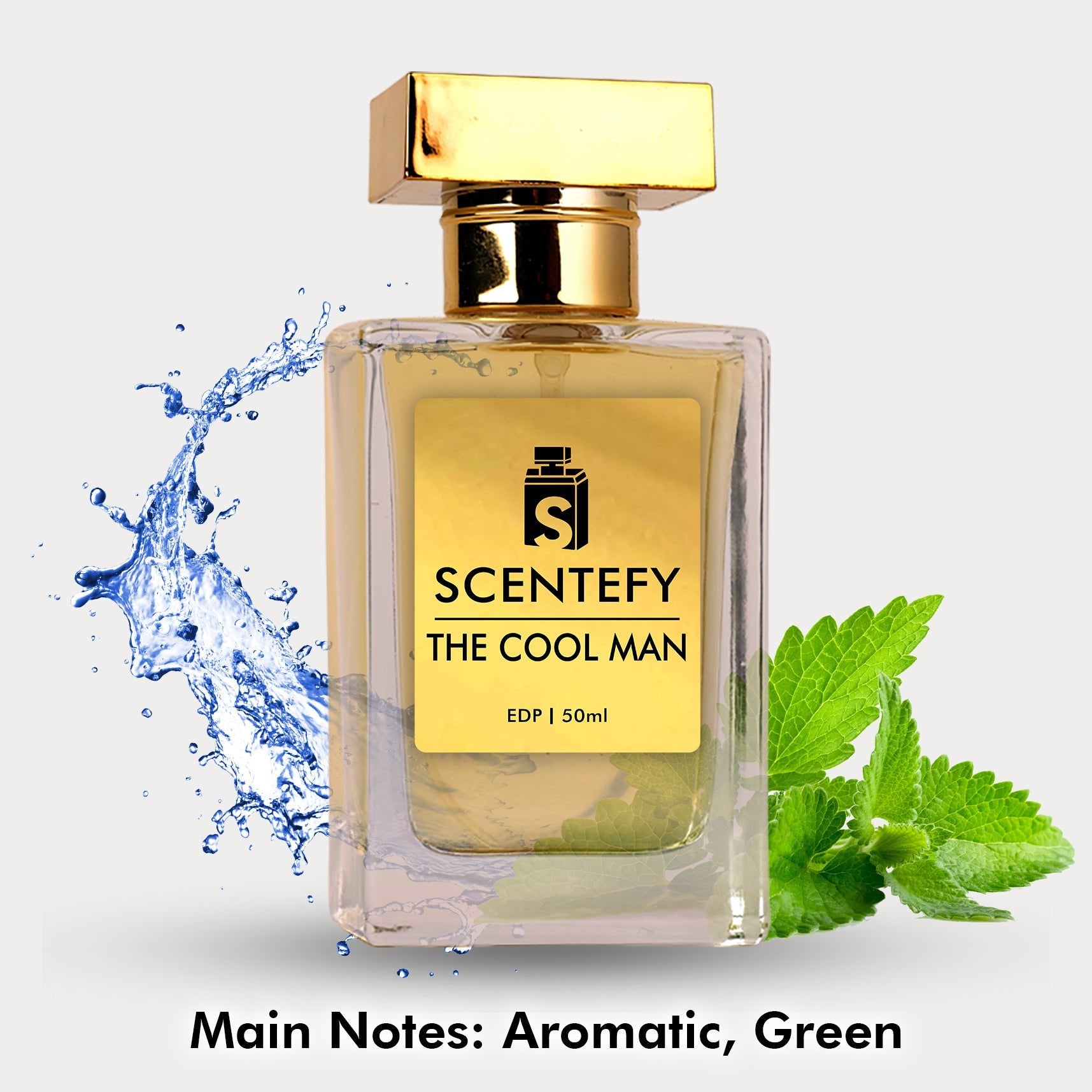 Step into Freshness with The Cool Man: A Nod to Cool Water | SCENTEFY ...